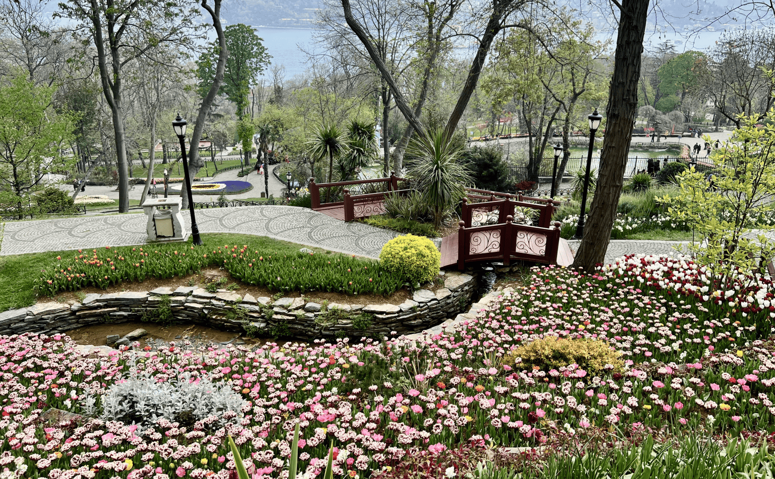 Istanbul Tulip Festival 2026 Guide: 10 Best Places to See Tulips