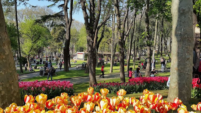 Istanbul Tulip Festival 2026 Guide: 10 Best Places to See Tulips