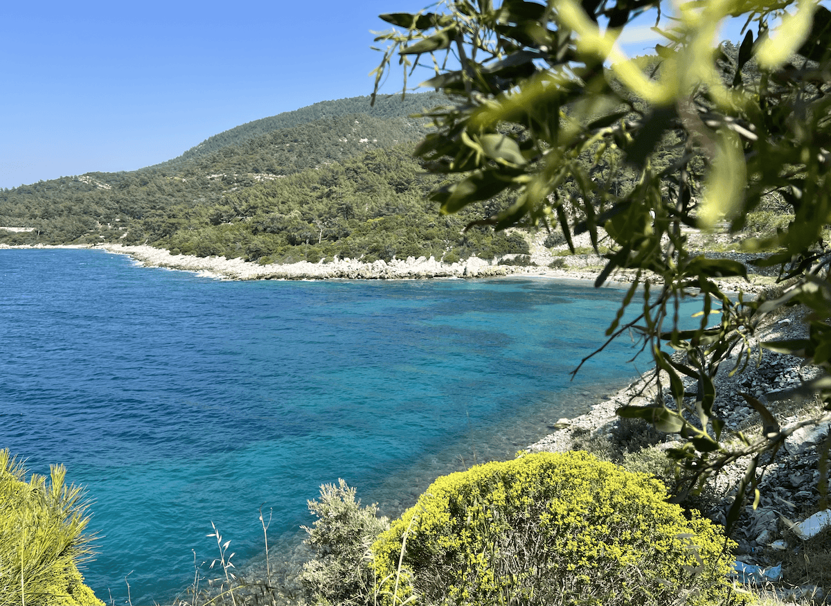 Where to Stay in Bodrum (Turkey): 10+ Best Areas & Neighborhood Guide ...