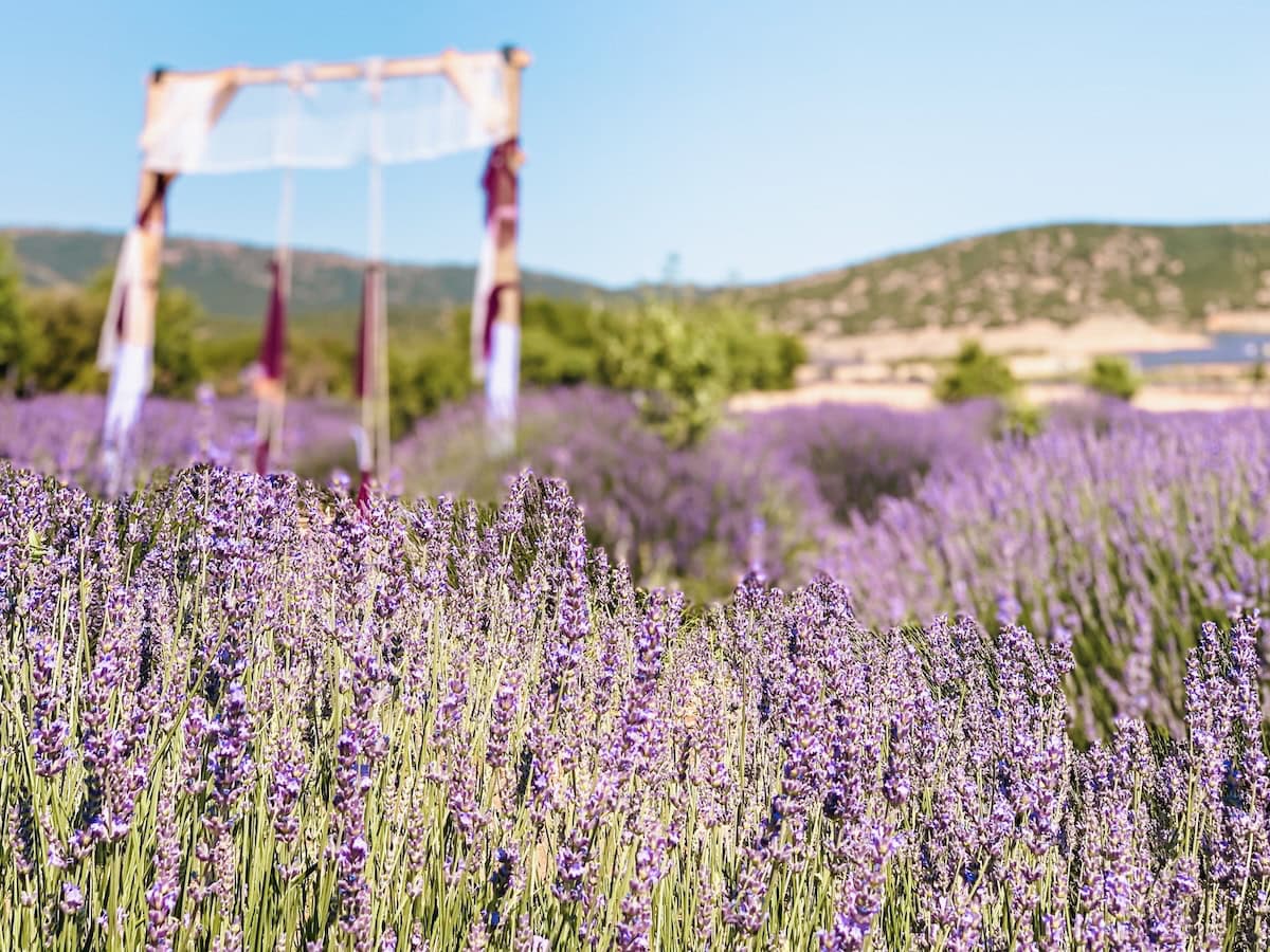 Traveling to Turkey in Spring (2026): The Ultimate Guide
