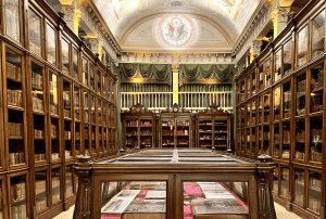 Yildiz Palace Travel Guide (2026): Insider Tips, What to See, Tickets ...