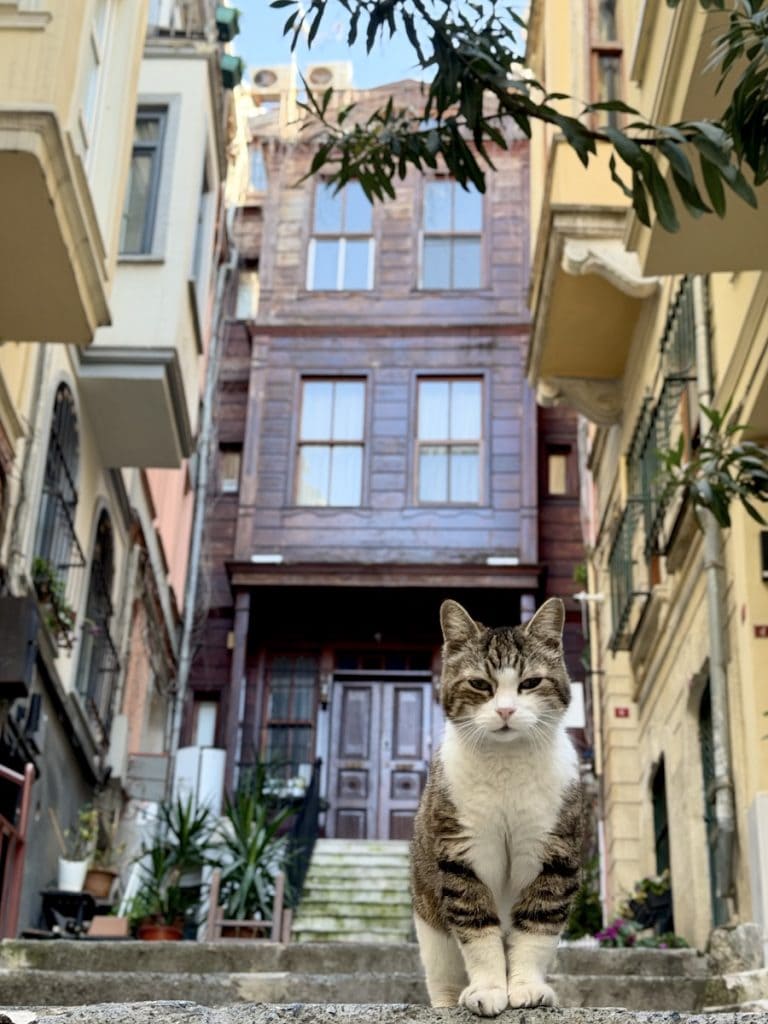 A Local’s Cihangir Travel Guide: 15+ Things To Do, Where to Eat, Stay ...